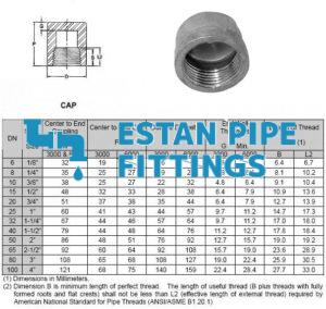 Stainless Steel Cap Estan Pipe Fittings Co Ltd